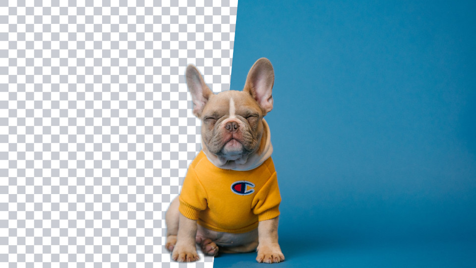 ImagR - Background Removal