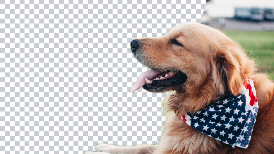 ImagR - Background Removal